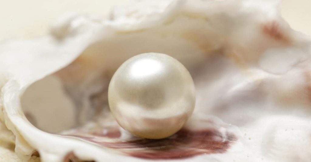 What A Pearl Palm Beach Lakes Church Of Christ What A Pearl Palm Beach Lakes Church Of Christ