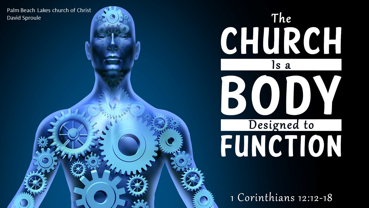 The Church Is a Body Designed to Function | Palm Beach Lakes church of ...