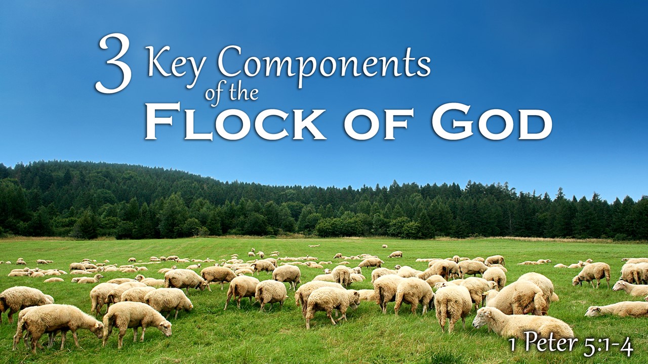 3 Key Components of the Flock of God - Palm Beach Lakes church of Christ